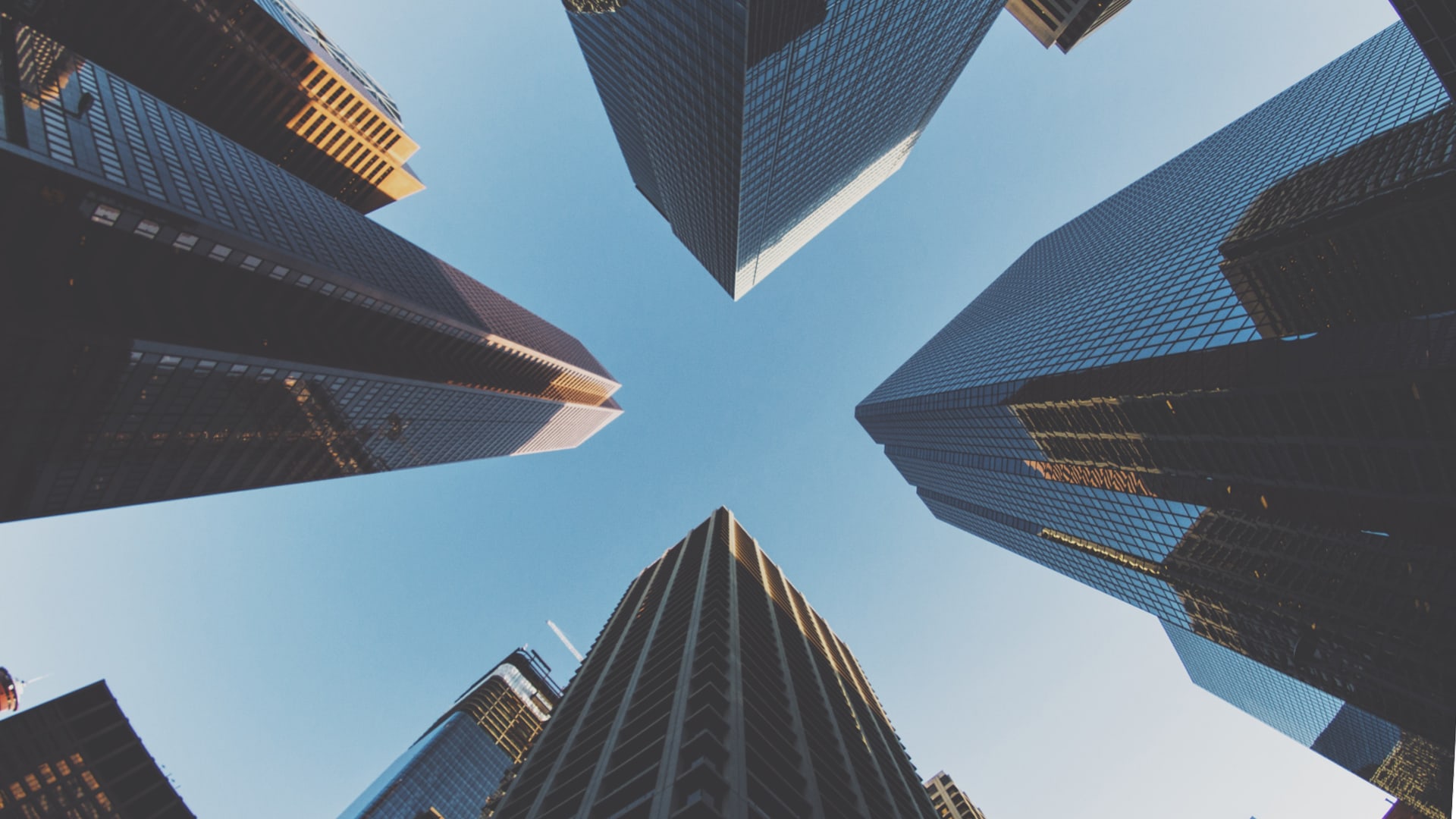 Alpha Alternatives | Strategy, Technology, Operations